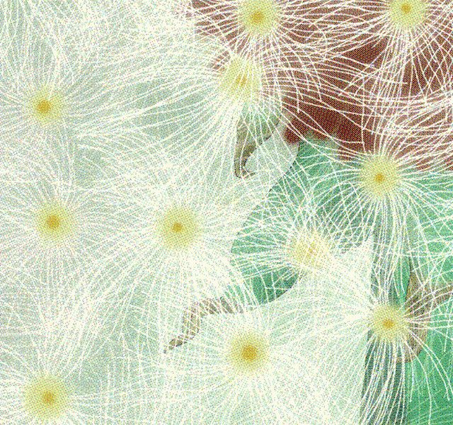 Feng Suave Shares a Beautiful new song "Unweaving The Rainbow Forever"