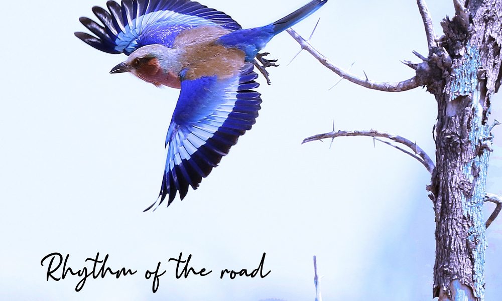 Alex Krawczyk Gives the Essentials on "Rhythm of the Road"