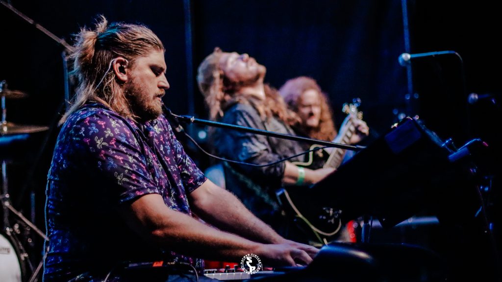 Jess Ball - Upside Down | Honk Magazine