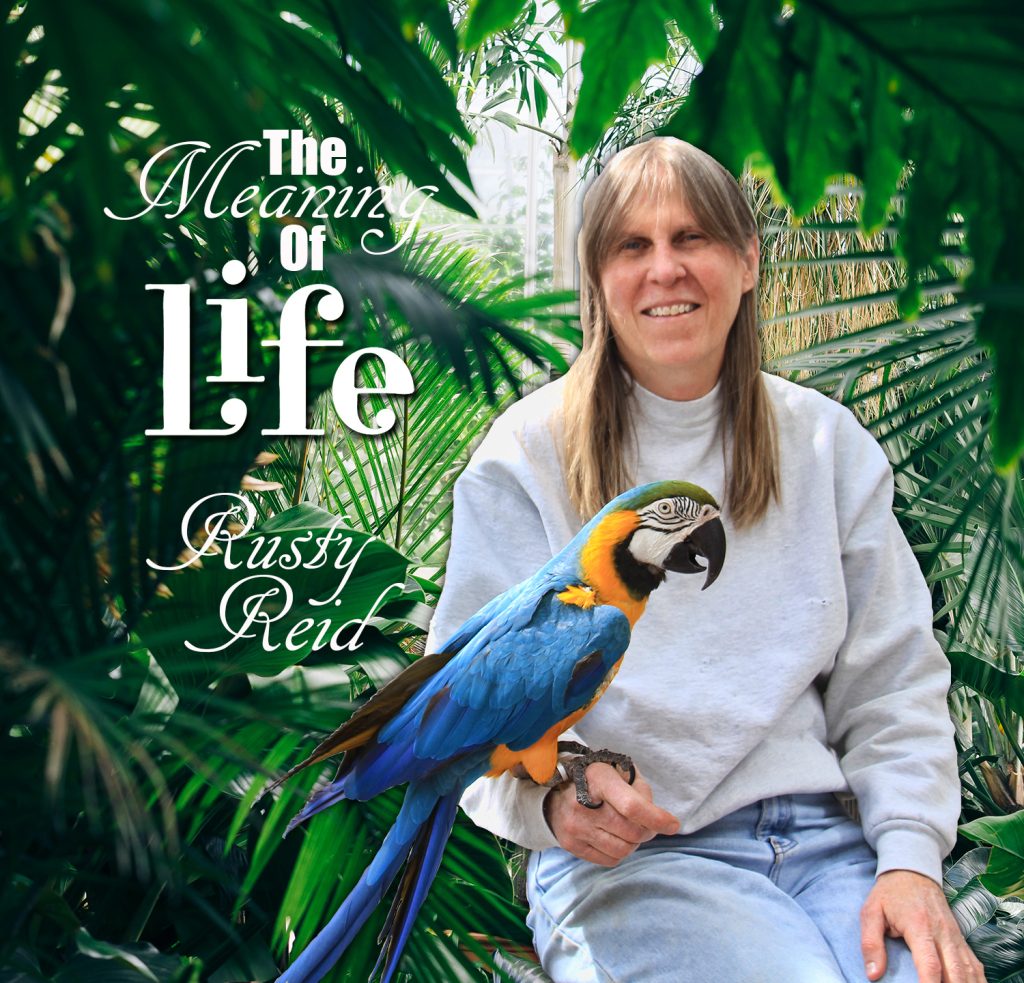 The Skinny Limbs Unveil Galactic Soundscape with 'Mozart for Martians ...