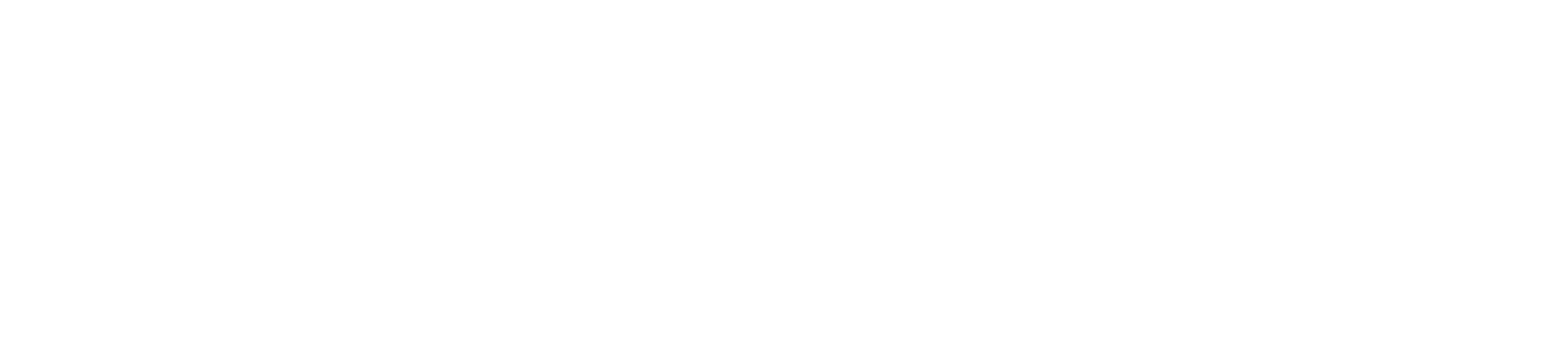 Honk Magazine Logo
